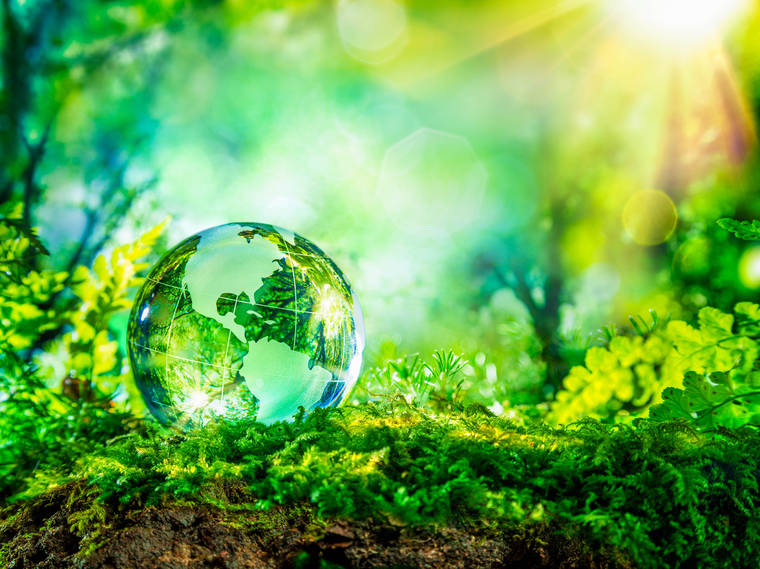 A Ecológica Bioeconomia Global - 🌎 GeobservatóriØ
